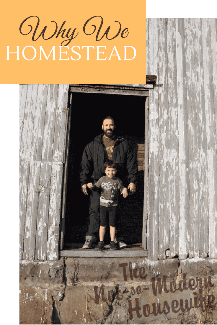 4 Big Reasons Why I Chose to Become a Homesteader