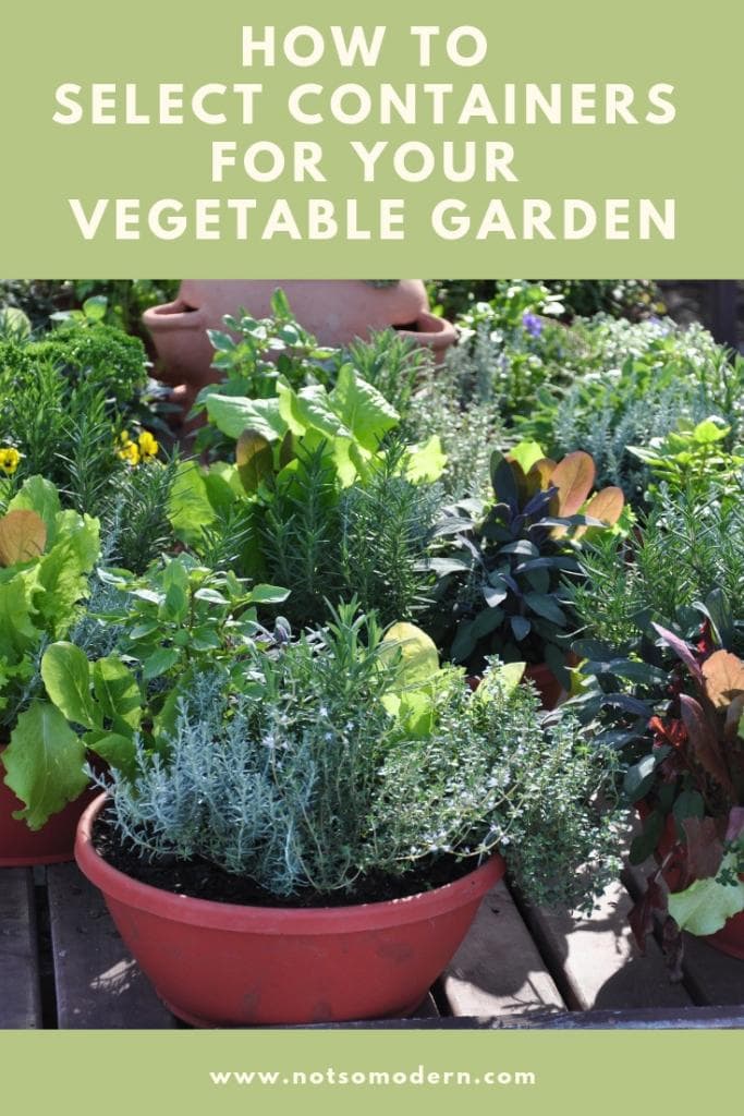 4 Steps to Selecting the Perfect Containers for Vegetable Gardening