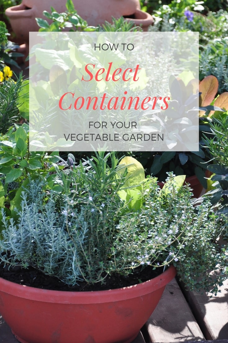 4 Steps to Selecting the Perfect Containers for Vegetable Gardening