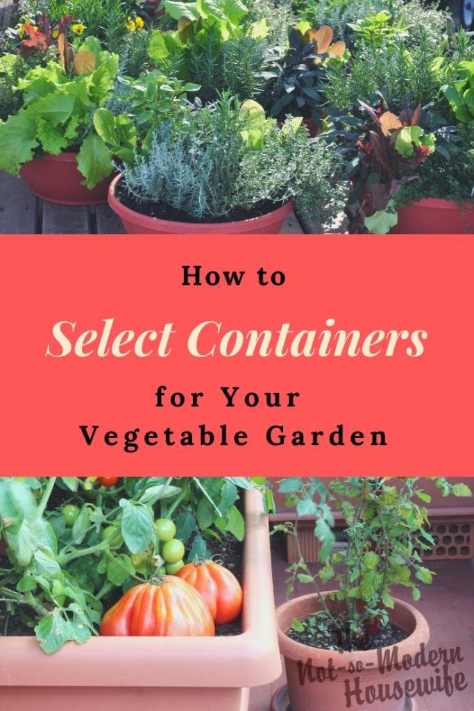 4 Steps to Selecting the Perfect Containers for Vegetable Gardening