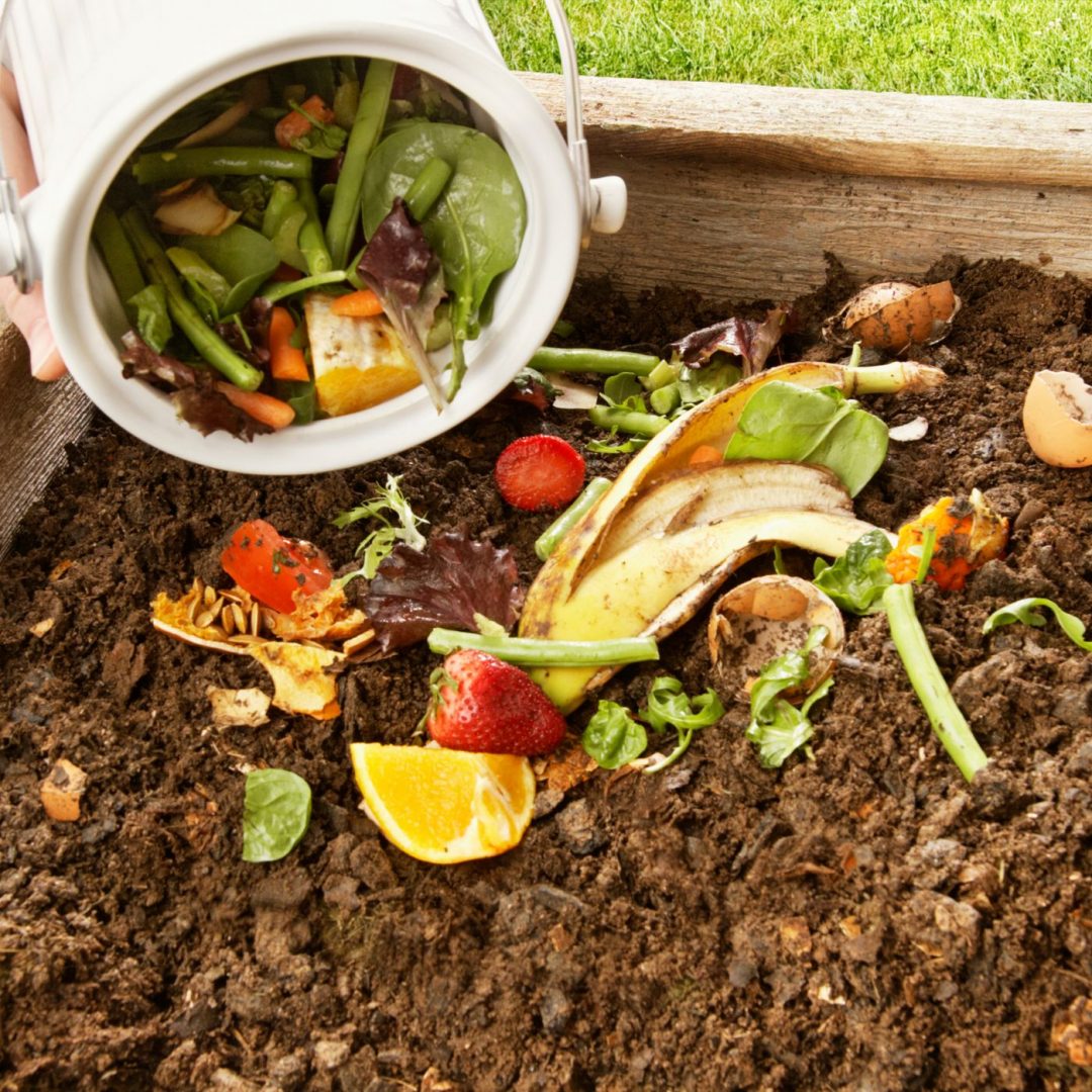 Cheap Compost: Where To Get It And What To Watch For - The Not so ...