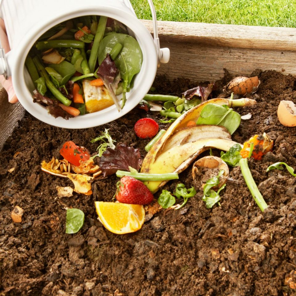 Cheap Compost: Where To Get It And What To Watch For - The Not so ...