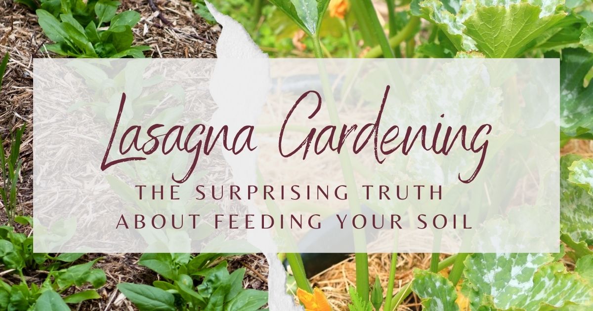 Feeding Your Soil: The Surprising Truth about No-Till Lasagna Gardening