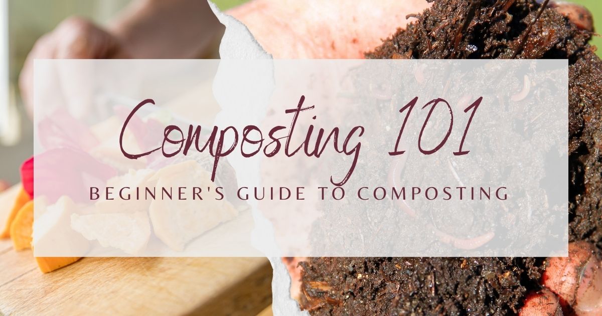 How to Compost: 6 Easy Steps to Create Your Own Compost Heap at Home