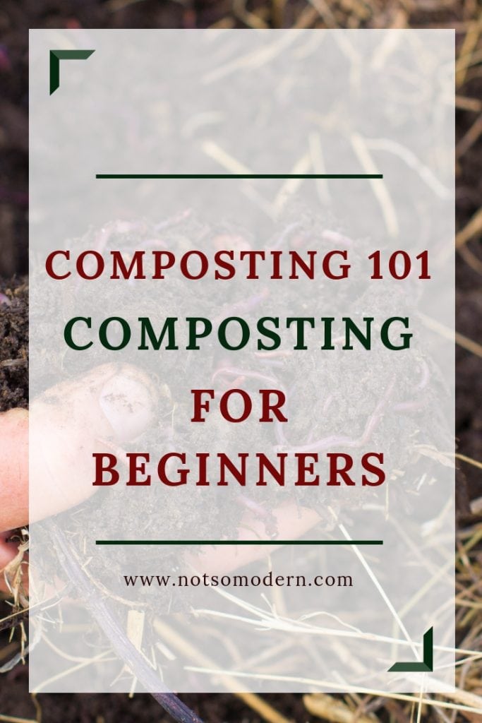 How to Compost: 6 Easy Steps to Create Your Own Compost Heap at Home