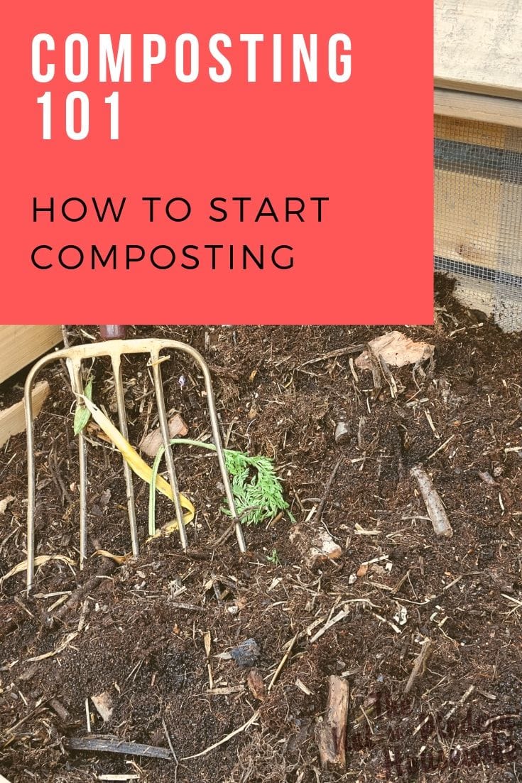 How to Compost: 6 Easy Steps to Create Your Own Compost Heap at Home