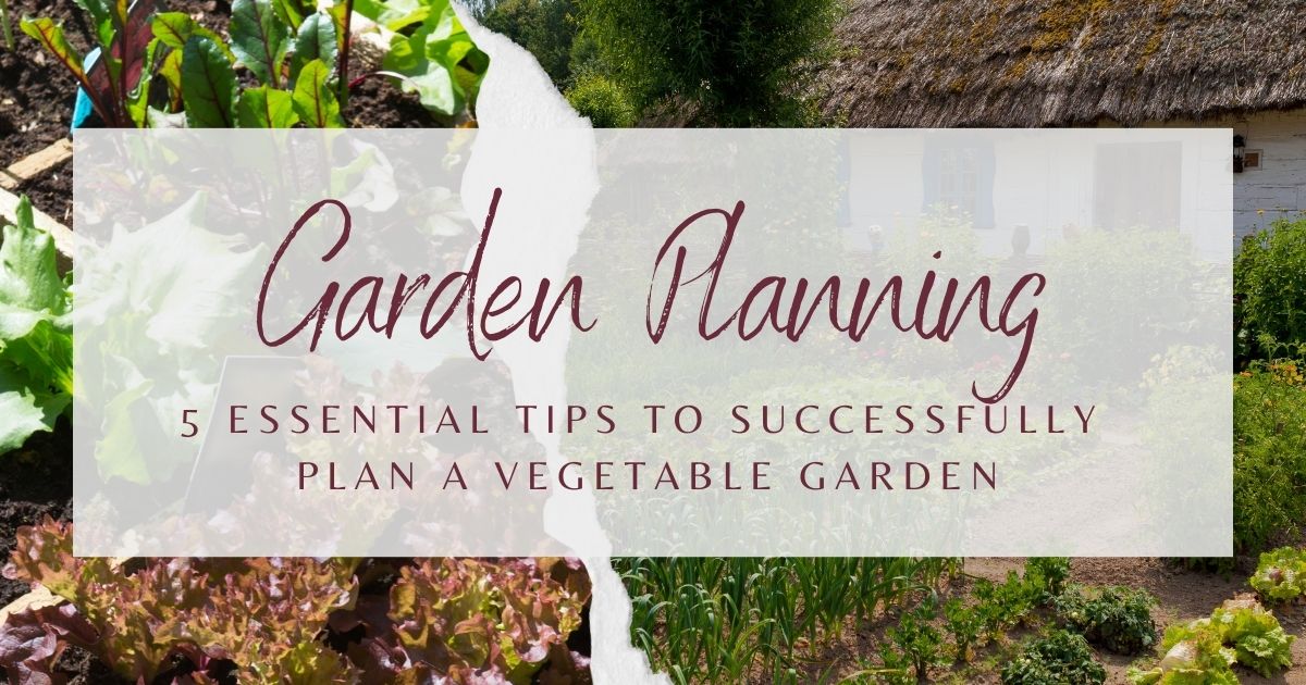 Planning a Vegetable Garden: 5 Essential Tips for Success