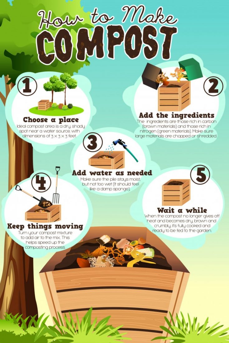 How to Compost: 6 Easy Steps to Create Your Own Compost Heap at Home