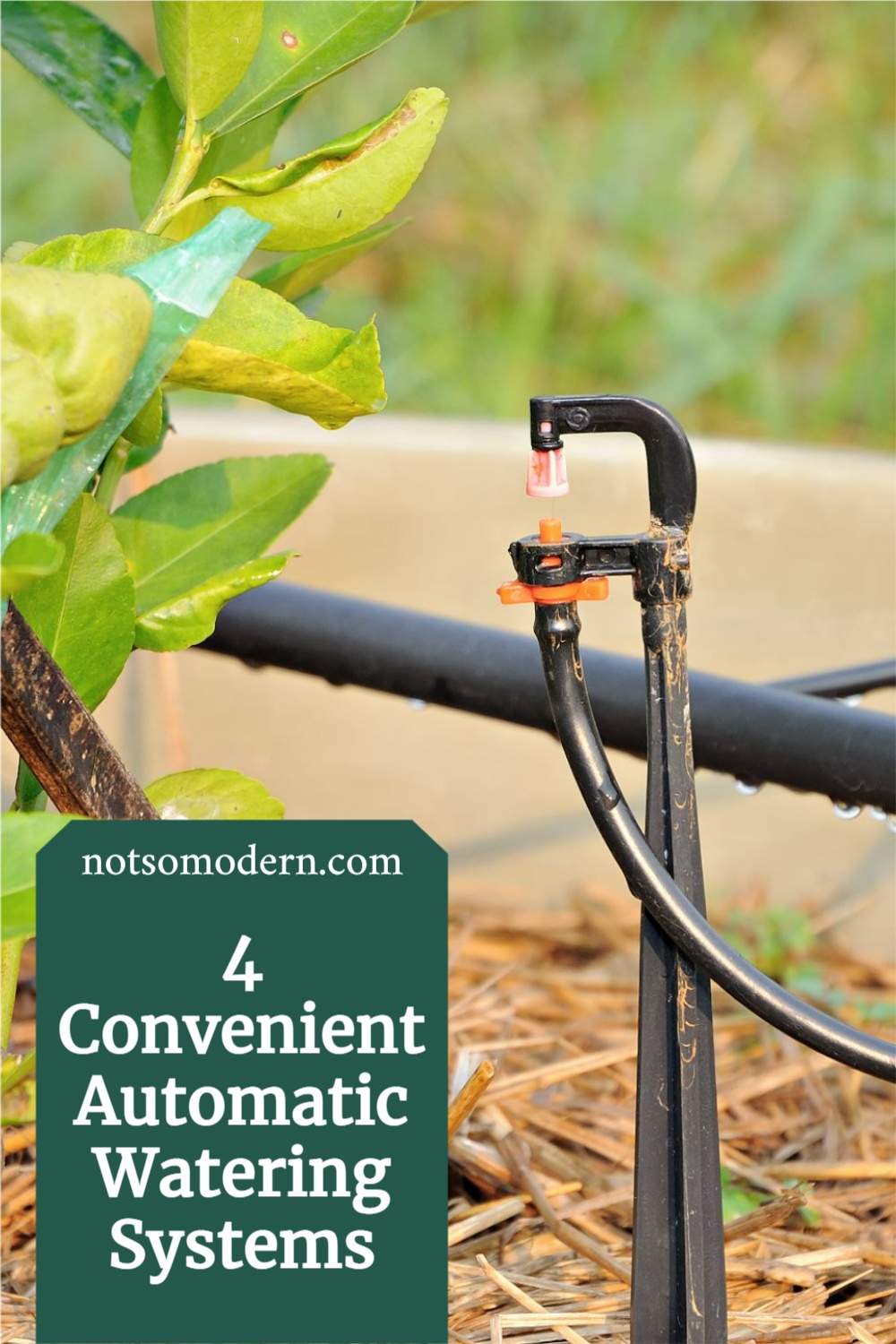 4 Brilliant Self Watering System for Pots That Make Gardening Easy