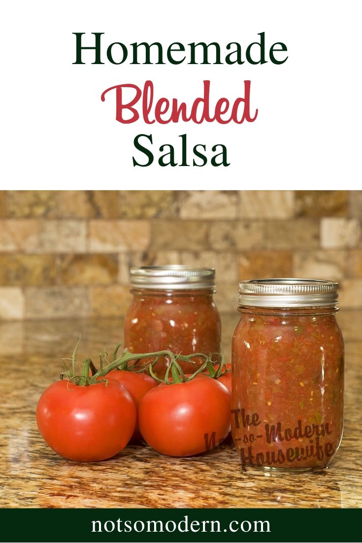 Delicious Restaurant Style Homemade Salsa Recipe with 4 Tips for Water ...