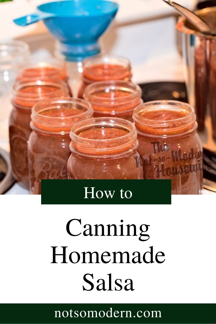 Delicious Restaurant Style Homemade Salsa Recipe with 4 Tips for Water ...