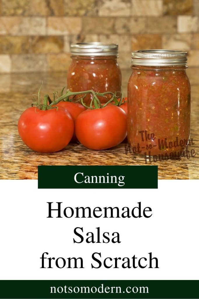 Delicious Restaurant Style Homemade Salsa Recipe with 4 Tips for Water ...