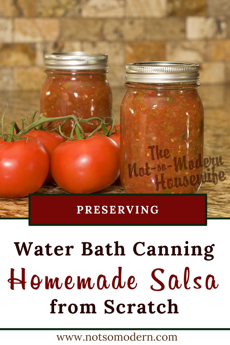 Delicious Restaurant Style Homemade Salsa Recipe with 4 Tips for Water ...