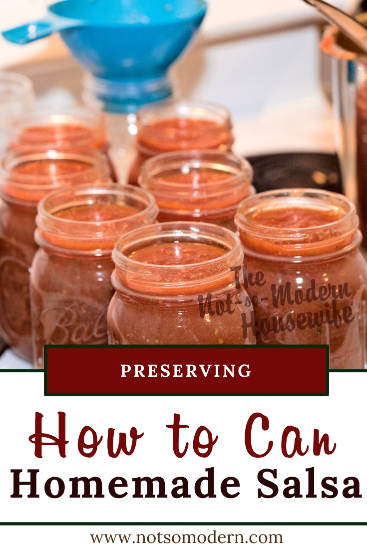 Delicious Restaurant Style Homemade Salsa Recipe with 4 Tips for Water ...