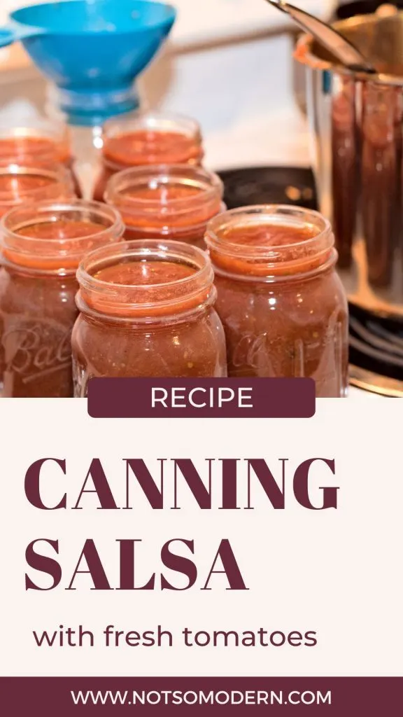 Delicious Restaurant Style Homemade Salsa Recipe with 4 Tips for Water ...
