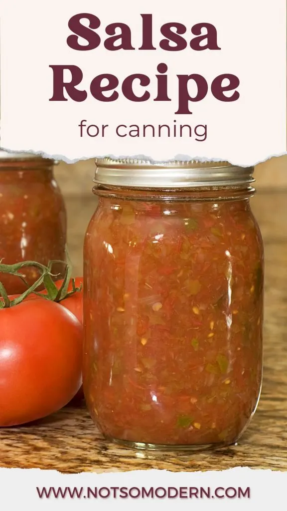 Delicious Restaurant Style Homemade Salsa Recipe with 4 Tips for Water ...