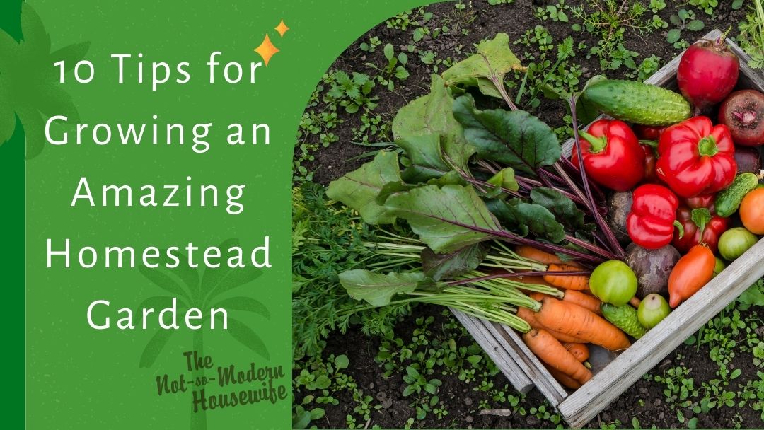 10 Tips for Growing an Amazing Homestead Garden