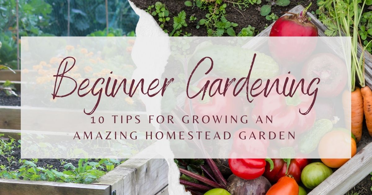 10 Tips for Growing an Amazing Homestead Garden