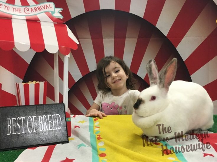 Beginner's Guide to Raising Meat Rabbits