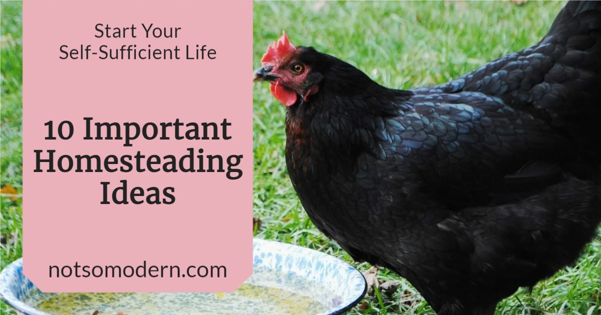 10 Important Homesteading Ideas to Start Your Self-Sufficient Life