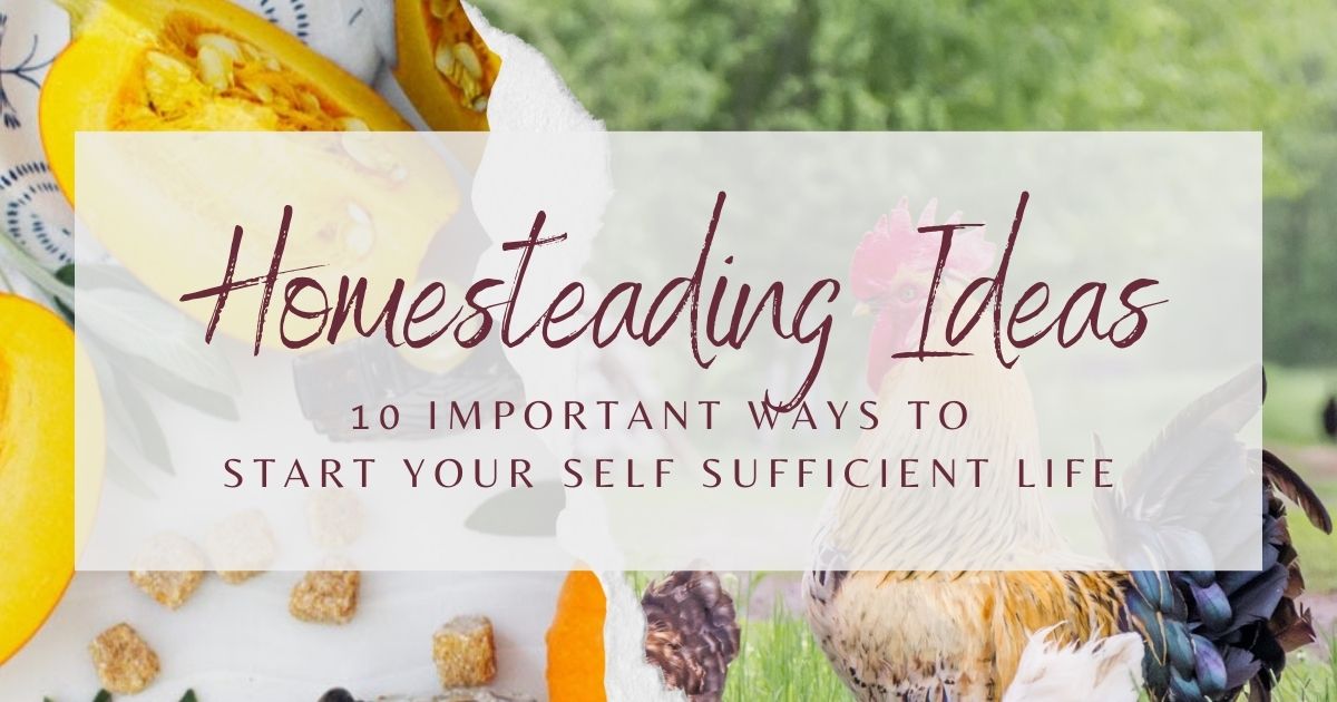 10 Important Homesteading Ideas to Start Your Self-Sufficient Life