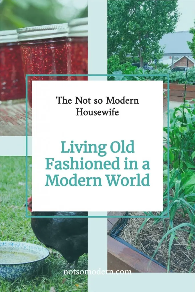 The Not So Modern Housewife - Living Old Fashioned in a Modern World