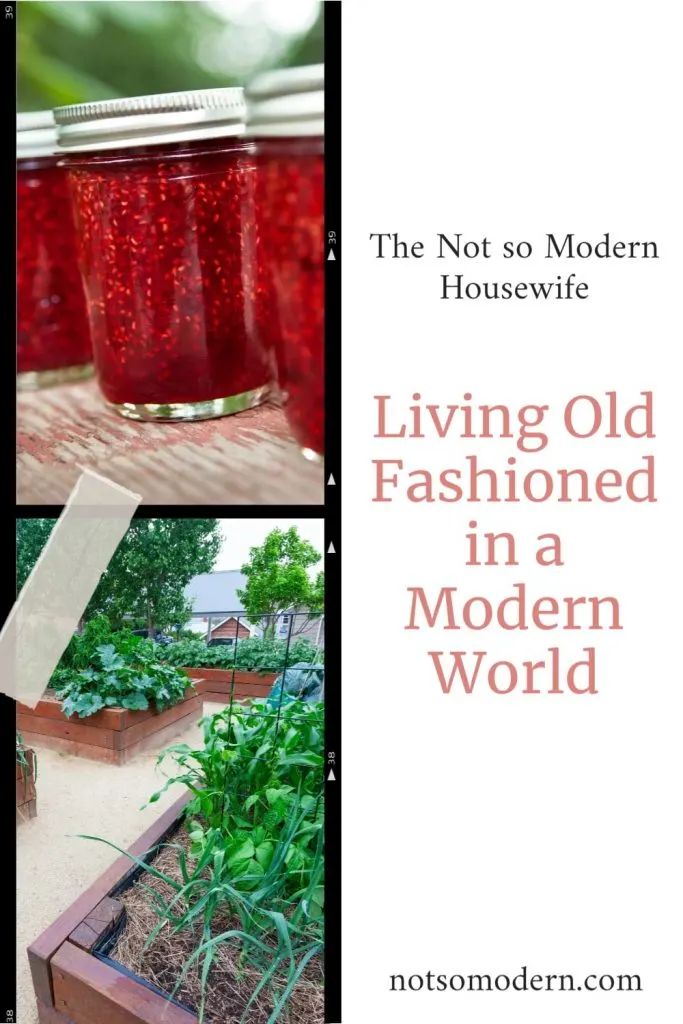 The Not So Modern Housewife - Living Old Fashioned in a Modern World